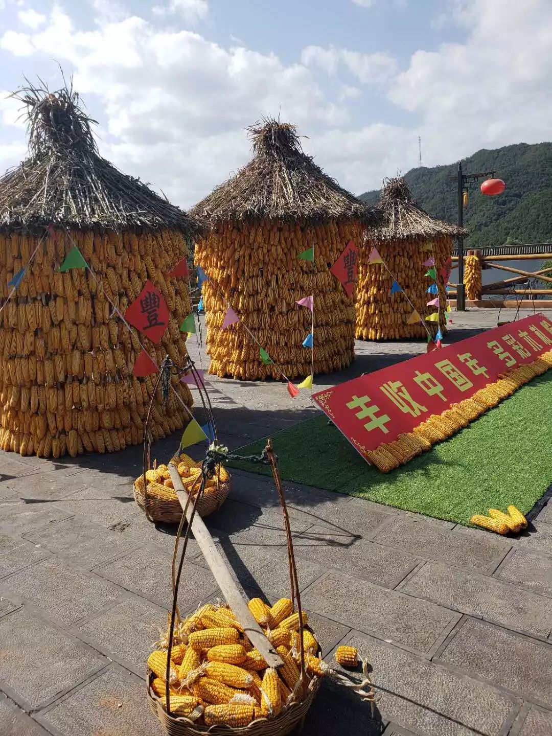 首届 中国农民丰收节 看看河南是咋庆祝的 大河号 大河网
